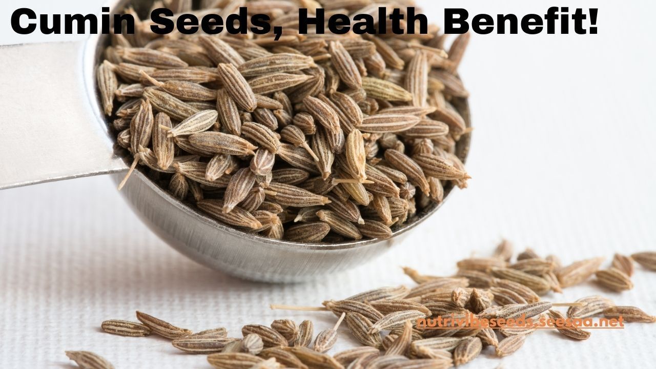 Cumin Seeds, Health Benefit!: Nutrivibe Seeds
